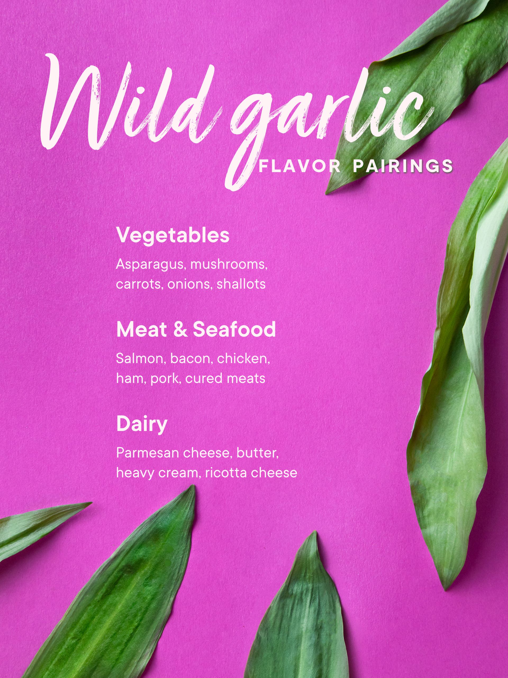 Everything You Need to Know About Preparing and Storing Wild Garlic ...