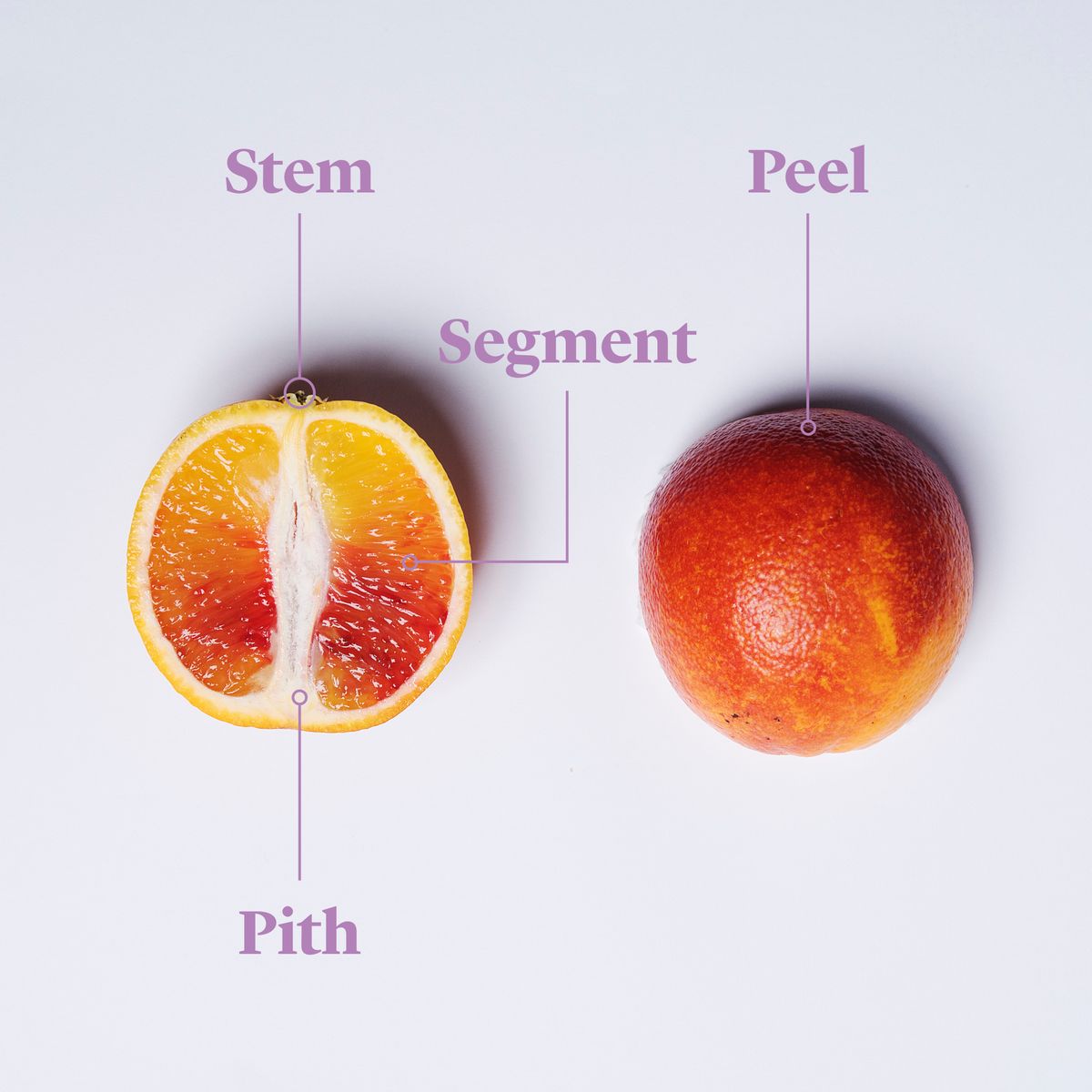 Everything to Know About Cooking and Shopping for In Season Blood ...