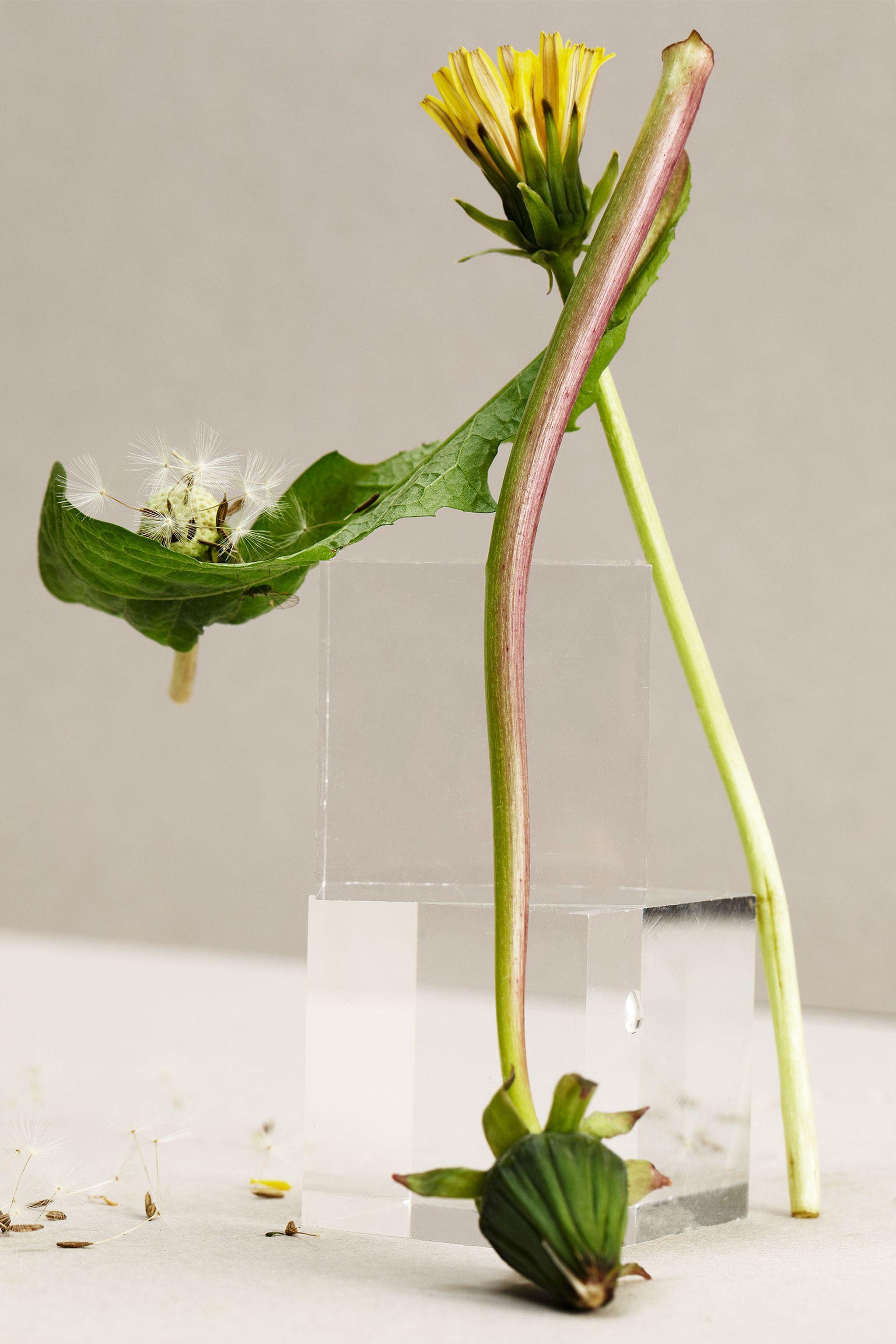 Everything to Know About Shopping For, Storing, and Preparing In Season ...