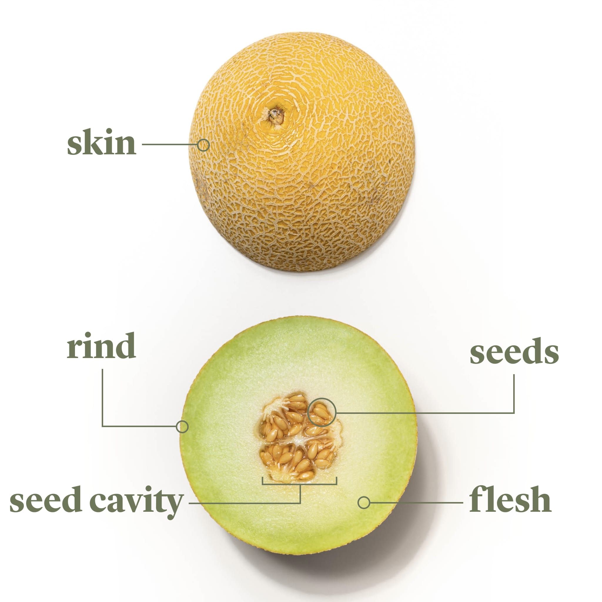 Everything You Need to Know About Shopping for, Storing, and Preparing ...