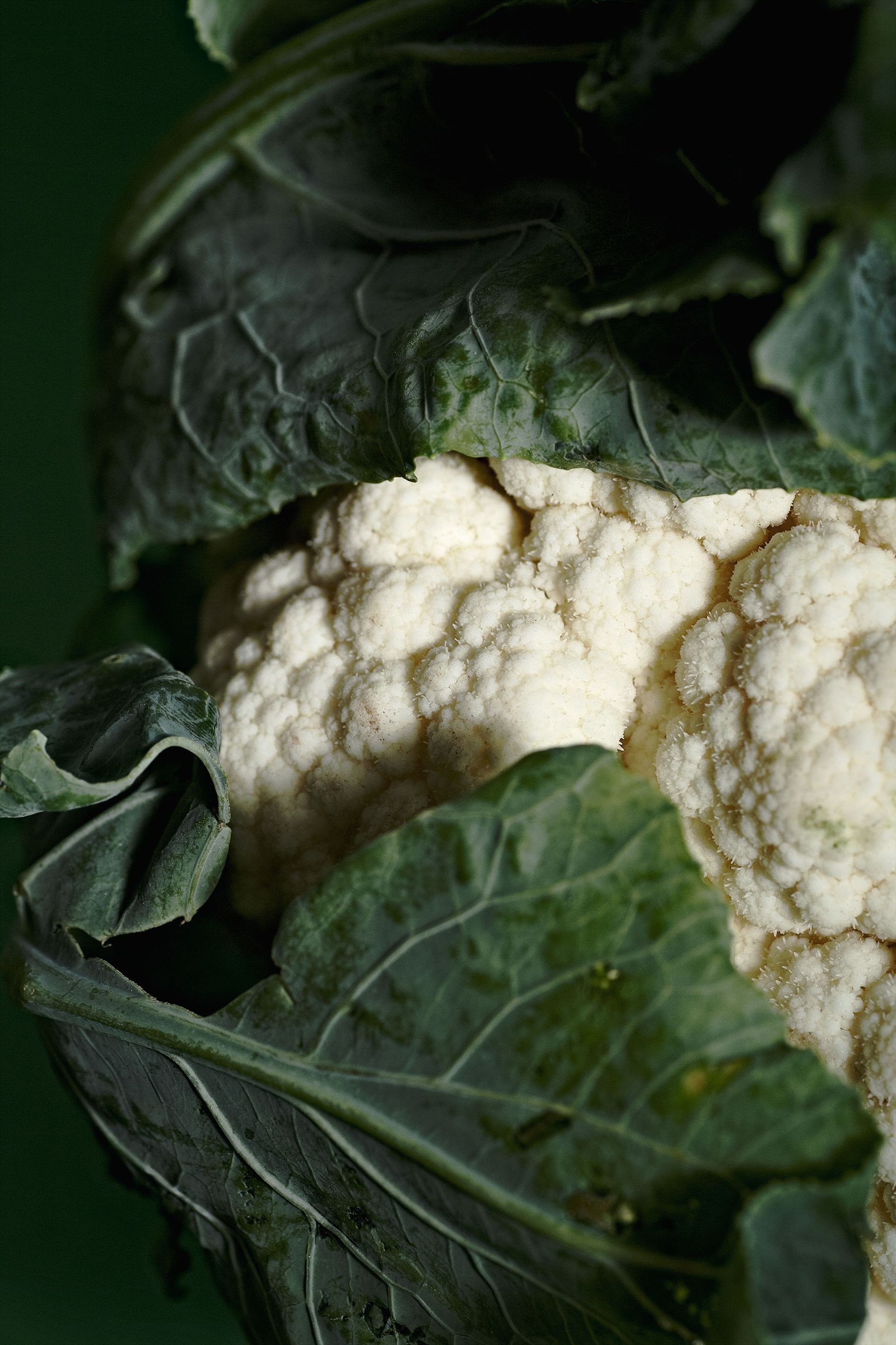 Now in Season: Buying, Storing, and Preparing Cauliflower | Stories ...