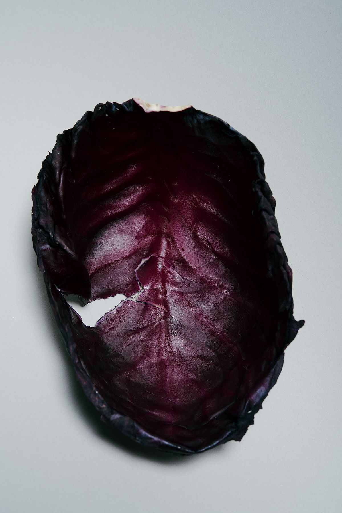 Everything to Know About Cooking and Shopping for In Season Red Cabbage ...