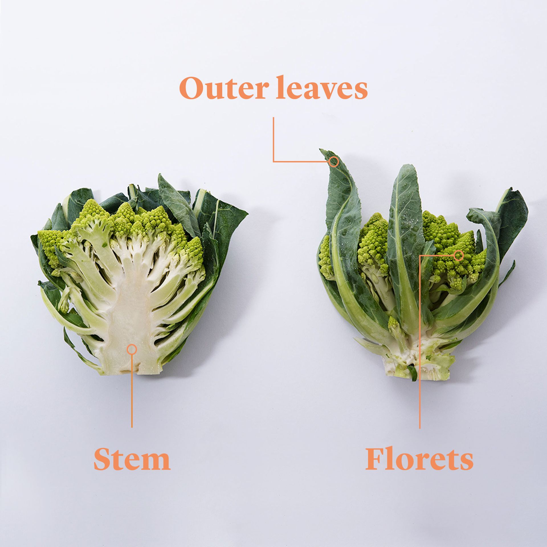 Everything to Know About Cooking and Shopping for In Season Romanesco ...
