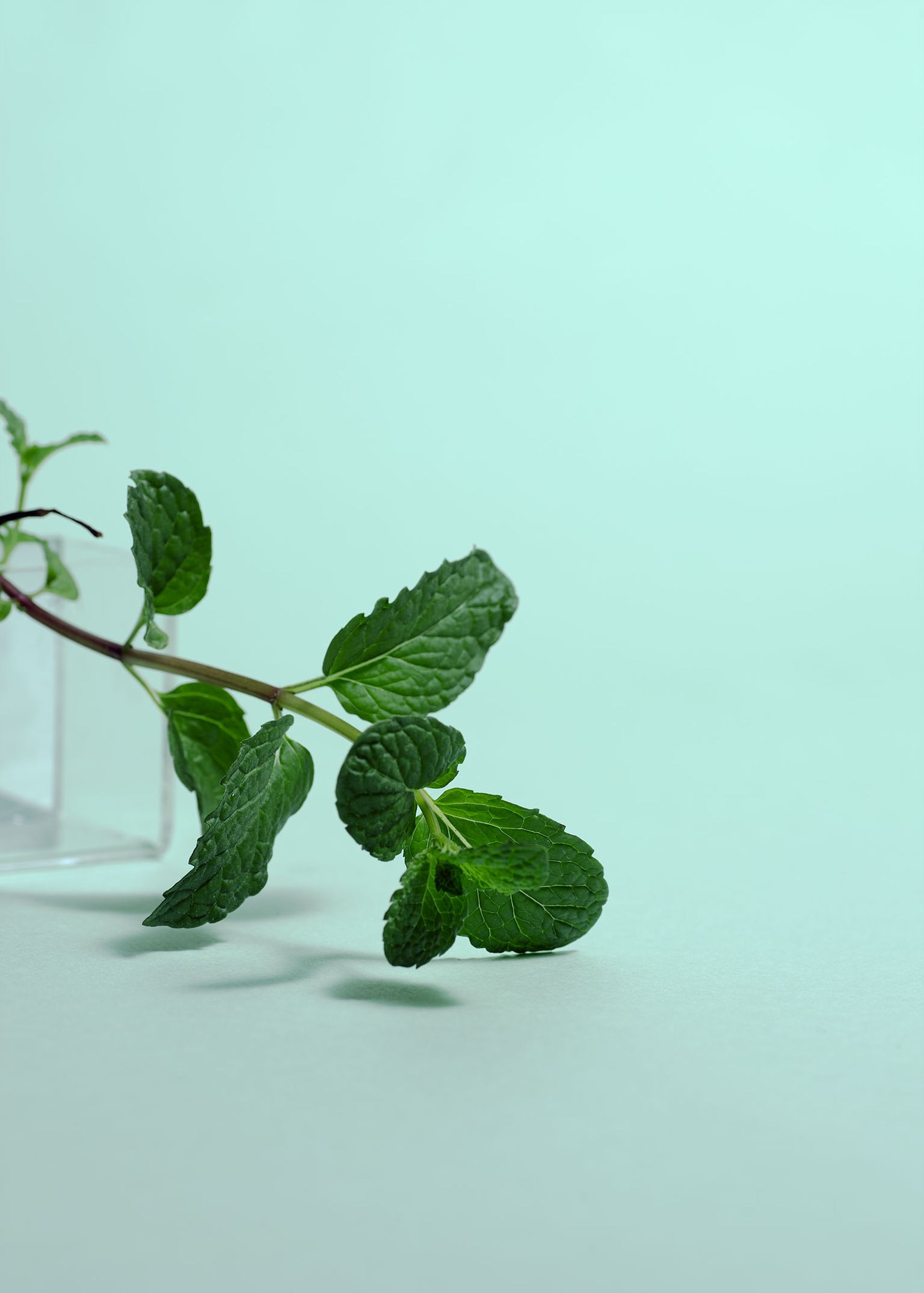 Everything You Need to Know About Cooking and Shopping for In Season ...