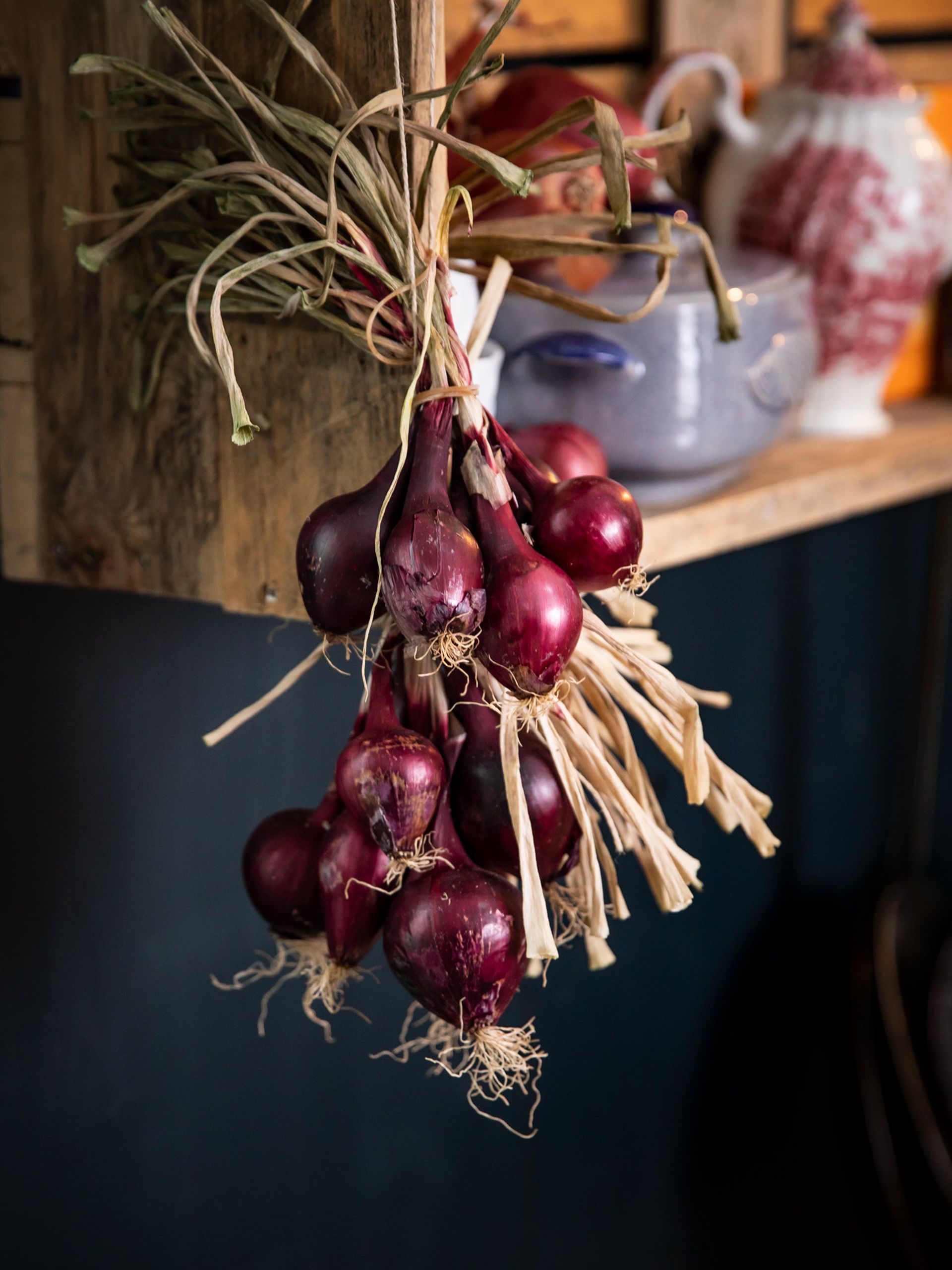 How to Eat 'Leaf to Root' and Enjoy Every Bit of Your Vegetables ...