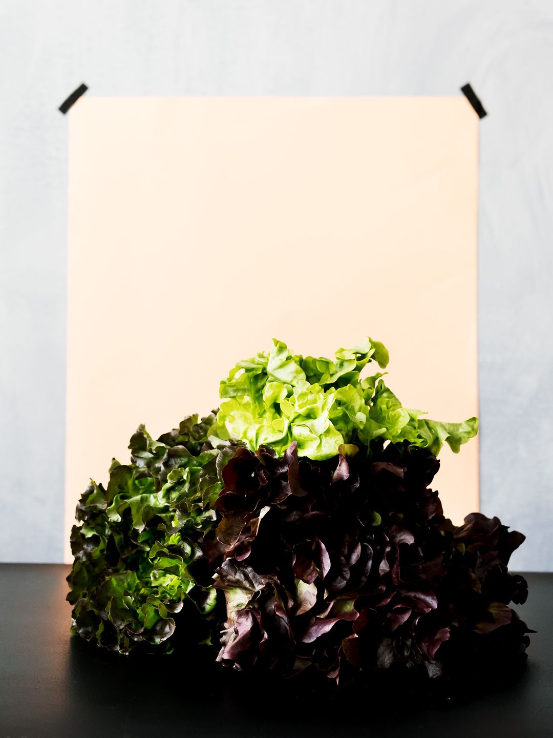 13 Salatsorten und wofür du welche verwenden solltest | Stories ...