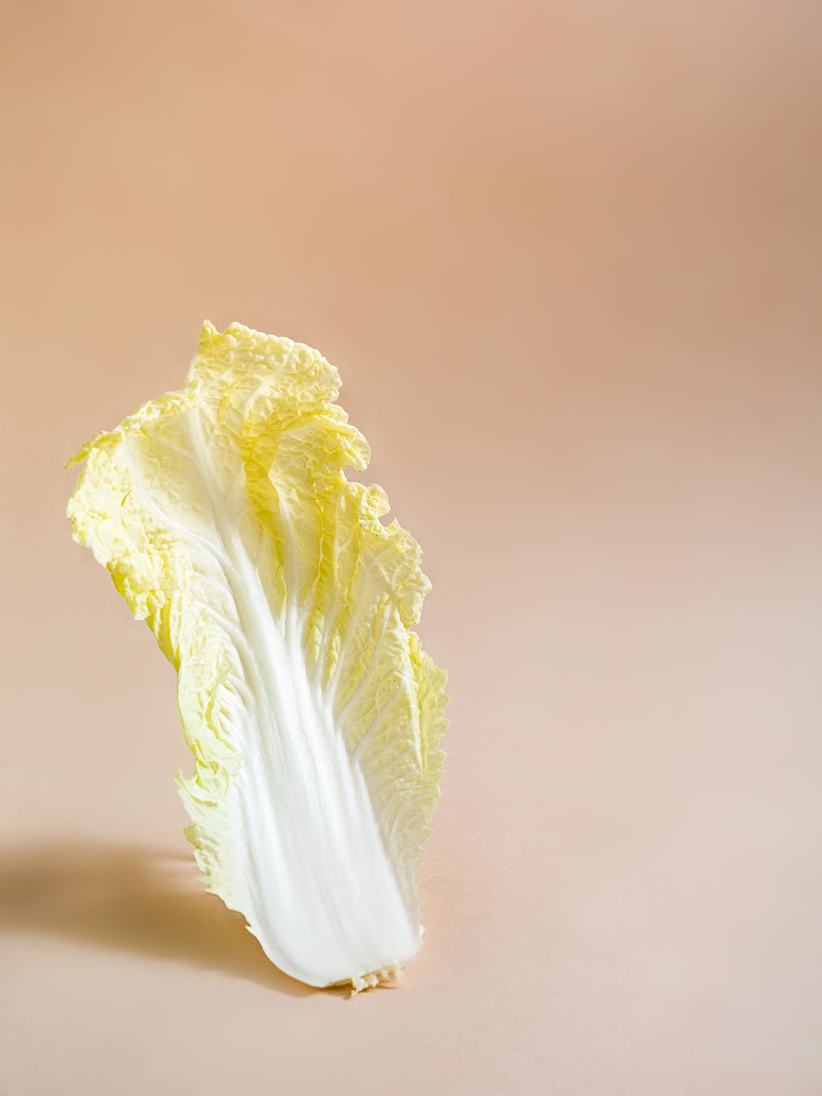 Everything You Need to Know About Preparing and Storing Napa Cabbage ...