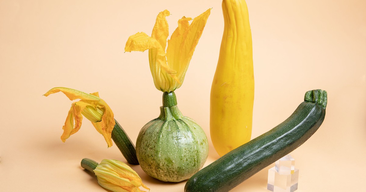 Everything to Know About Cooking and Shopping for In Season Zucchini ...