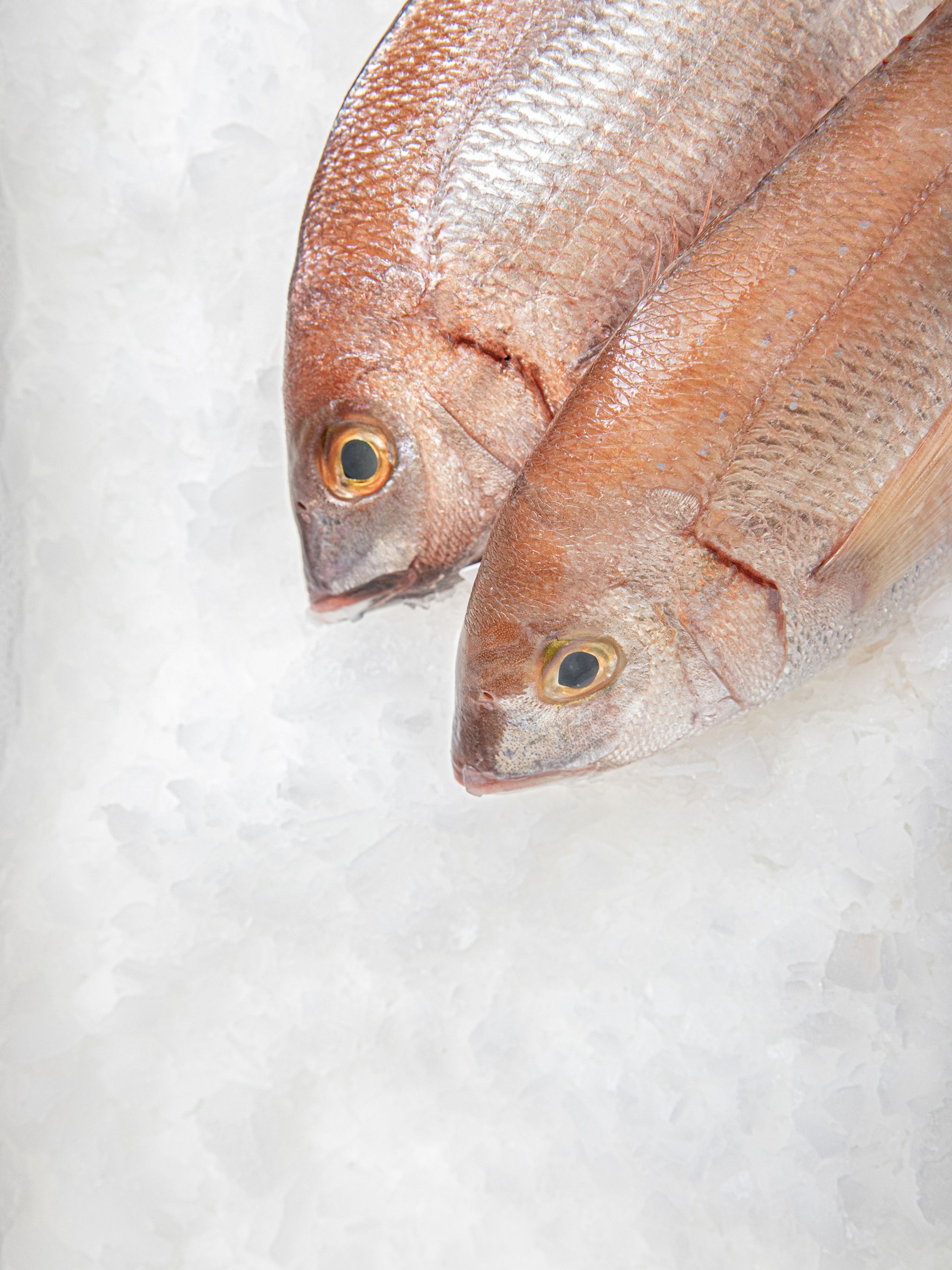 A Guide to Buying Fish and Seafood | Stories | Kitchen Stories