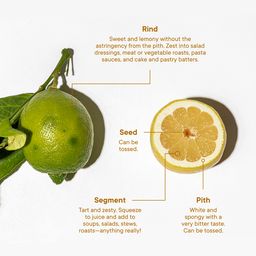 Everything You Need to Know About Preparing and Storing In Season Lemon ...