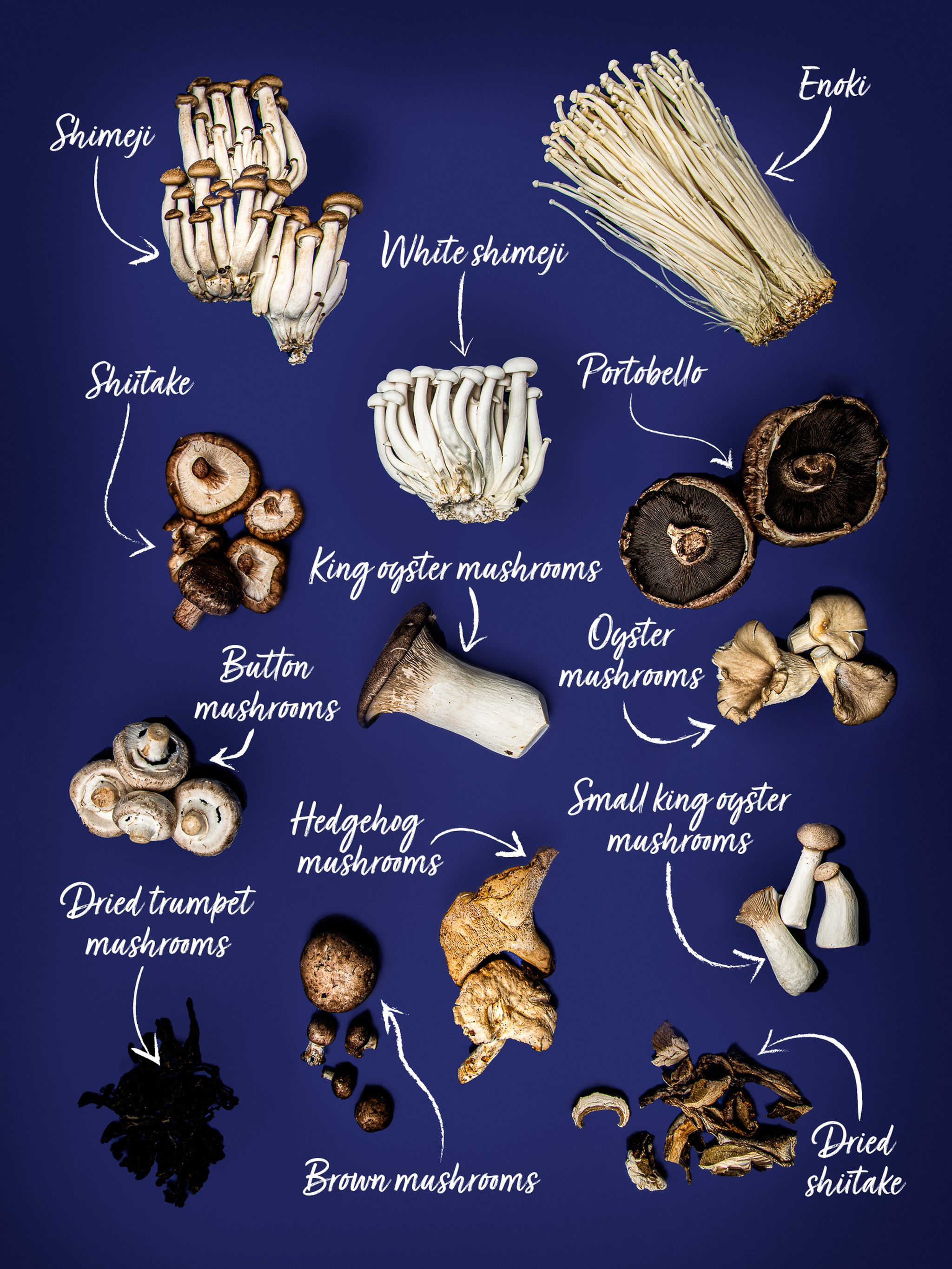 Everything You Always Wanted to Know About Mushrooms | Stories ...