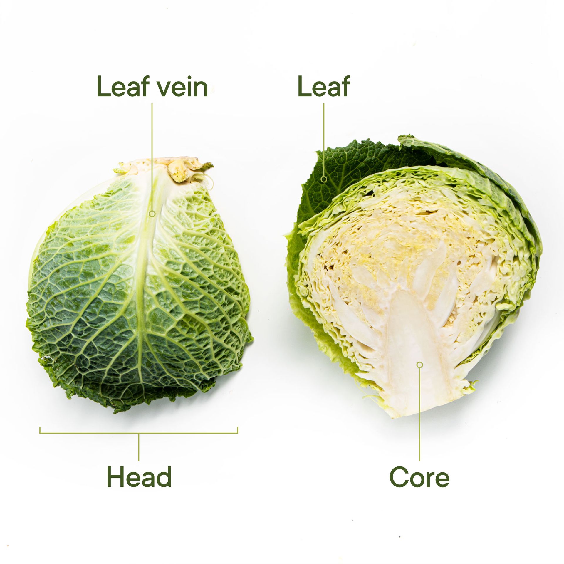 Everything You Need to Know About Shopping for, Storing, and Preparing ...