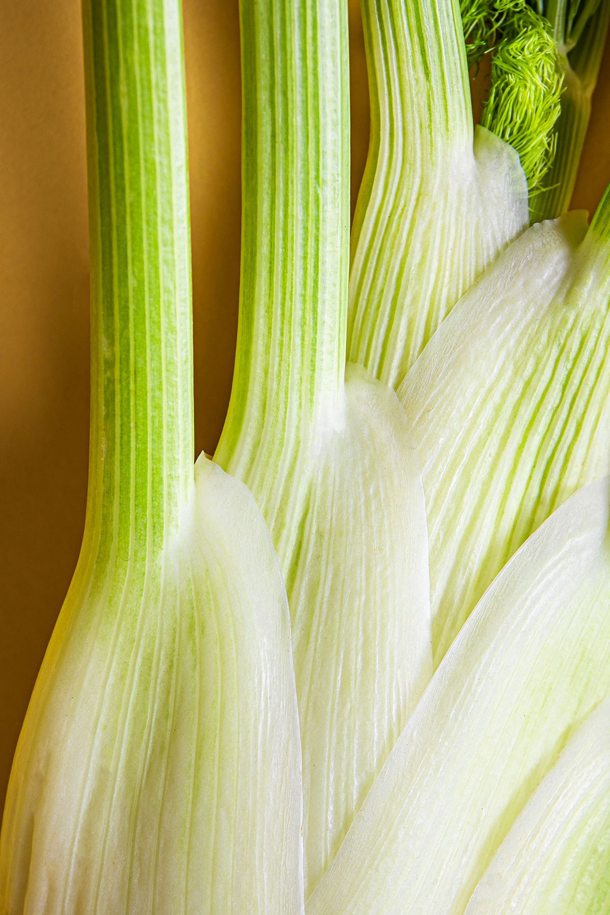 Everything You Need to Know About Preparing and Storing In Season ...