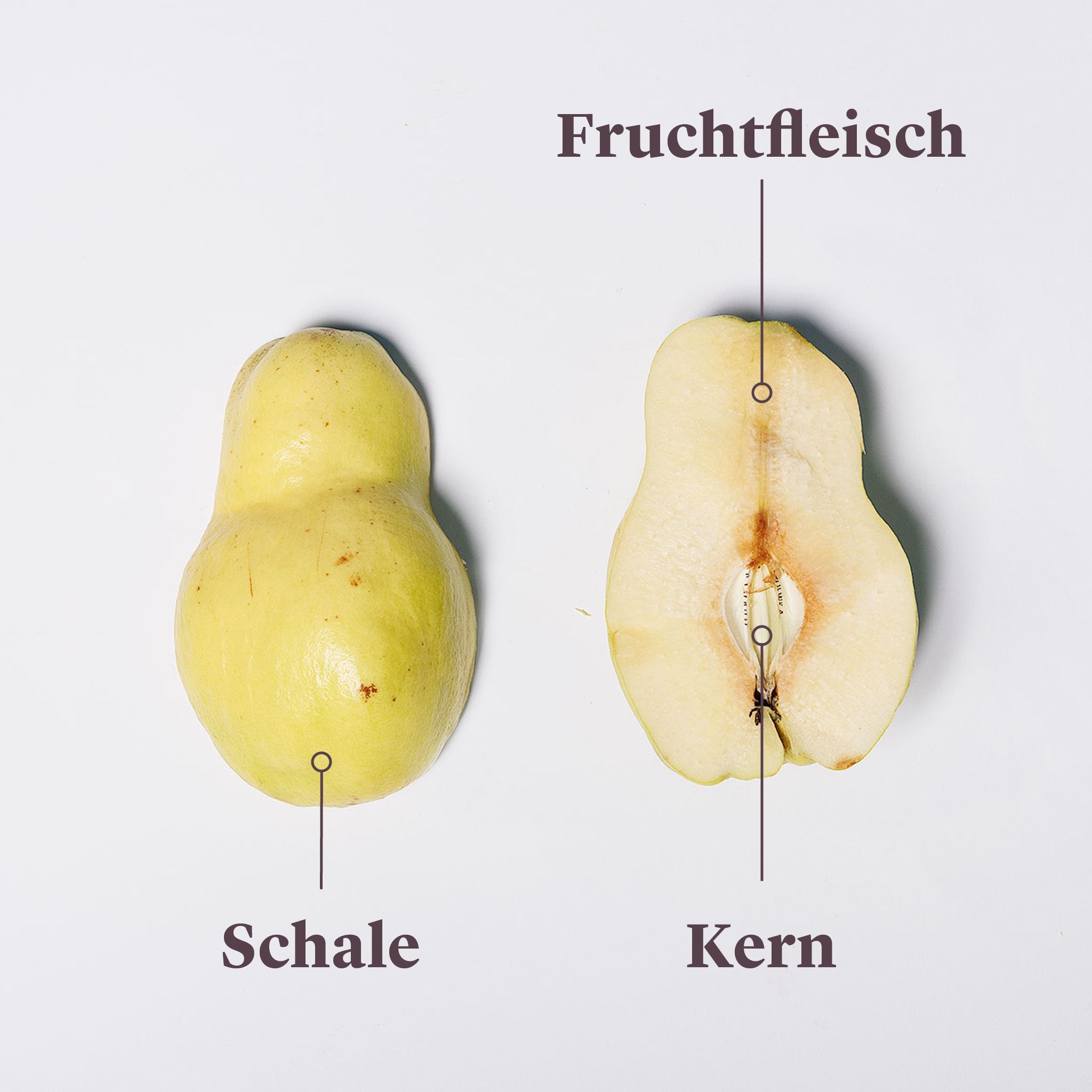 Jetzt in Saison: Quitten richtig kaufen, lagern und zubereiten ...