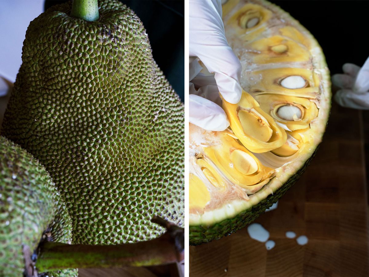 What Is Jackfruit Anyway? | Stories | Kitchen Stories