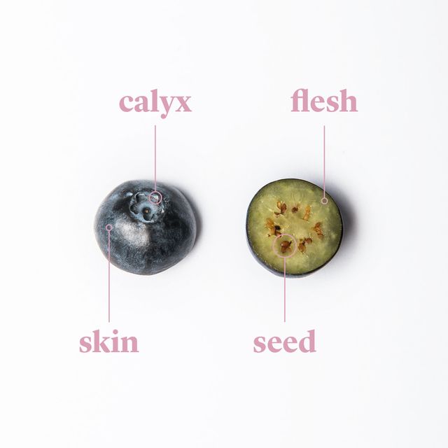 Everything to Know About Cooking and Shopping for In Season Blueberries ...