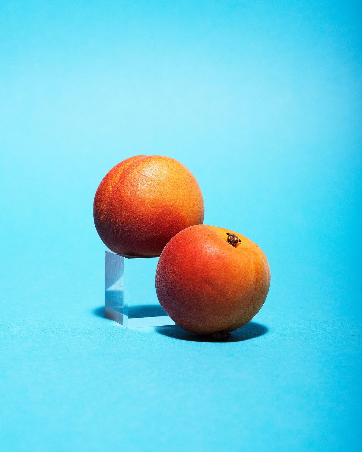 Everything to Know About Cooking and Shopping for In Season Apricots ...