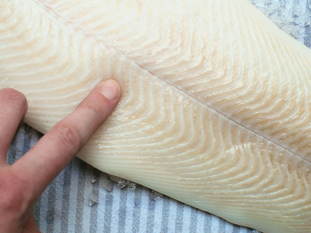 Wie du frischen Fisch erkennst | Stories | Kitchen Stories