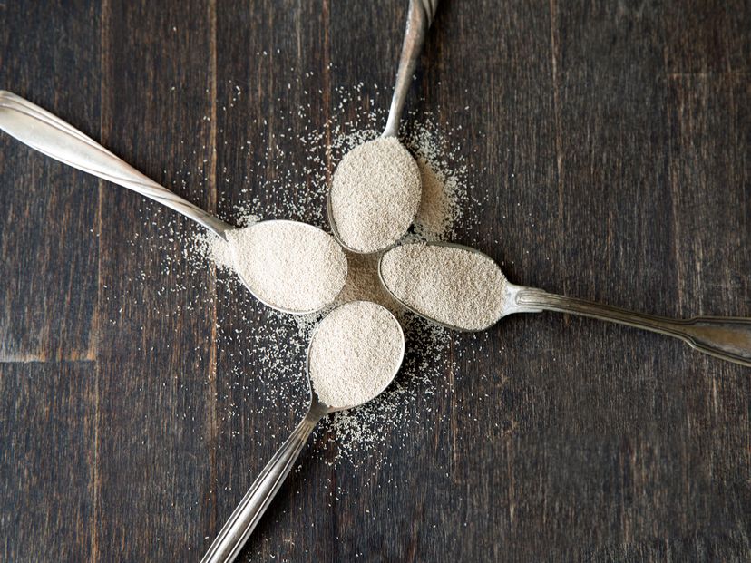 What’s the Difference Between Fresh, Active, and Instant Yeast ...