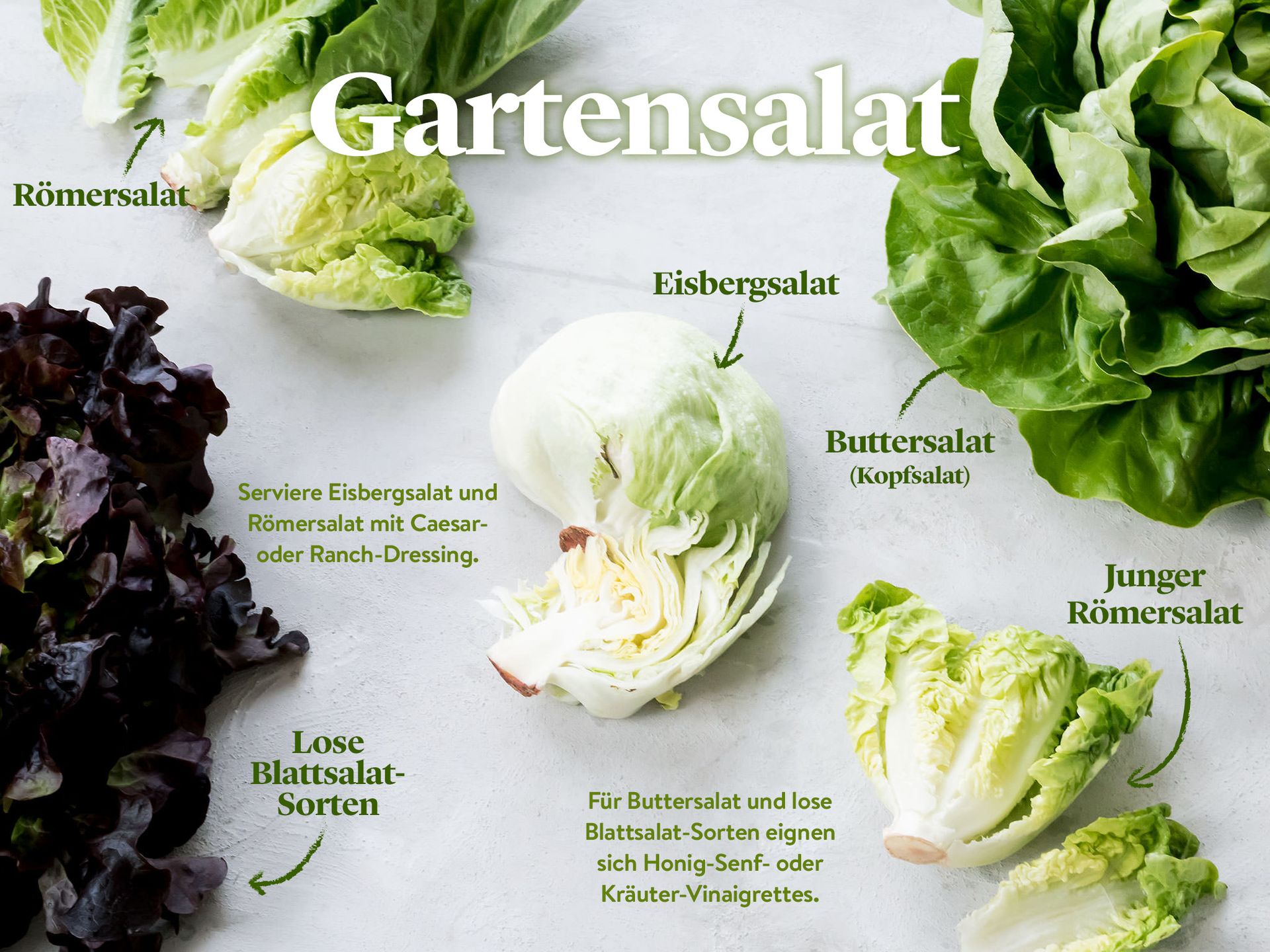 13 Salatsorten und wofür du welche verwenden solltest | Stories ...