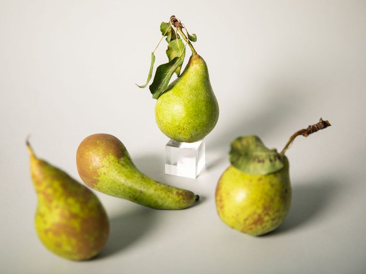 Everything to Know About Cooking and Shopping for In Season Pears ...
