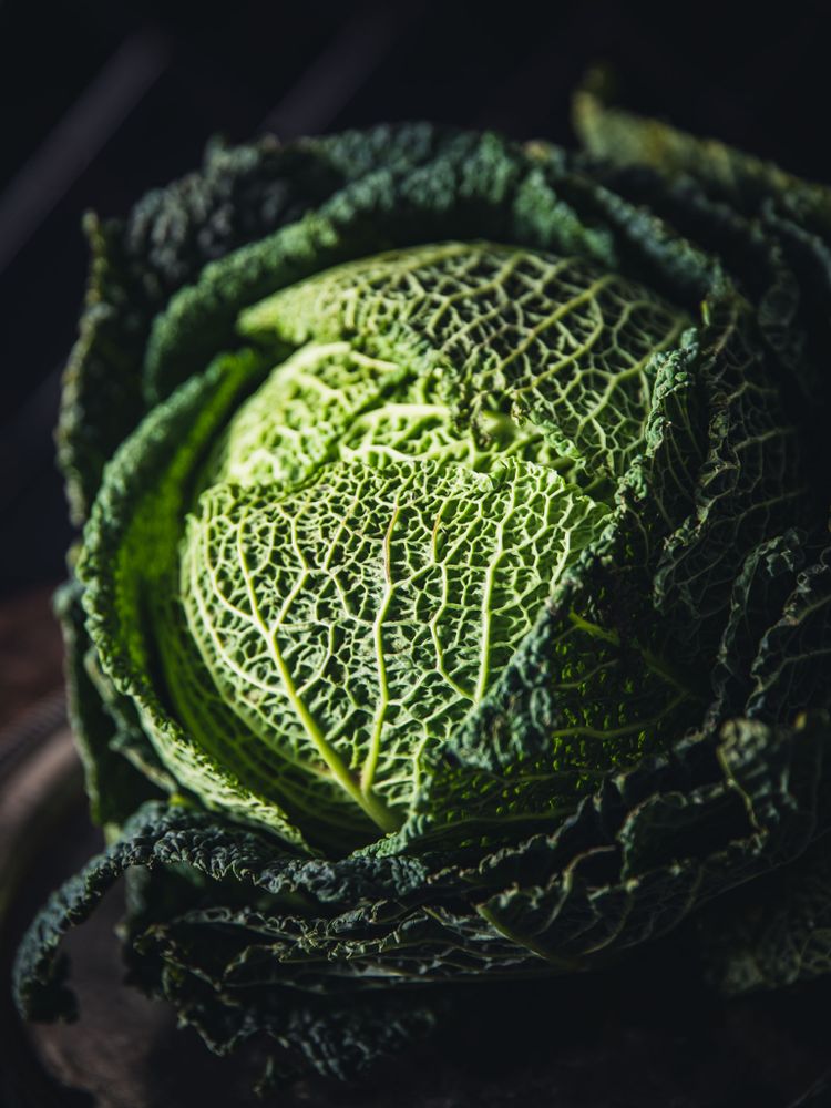 The Ultimate Guide to Cabbage: 11 Varieties and How to Use Them ...