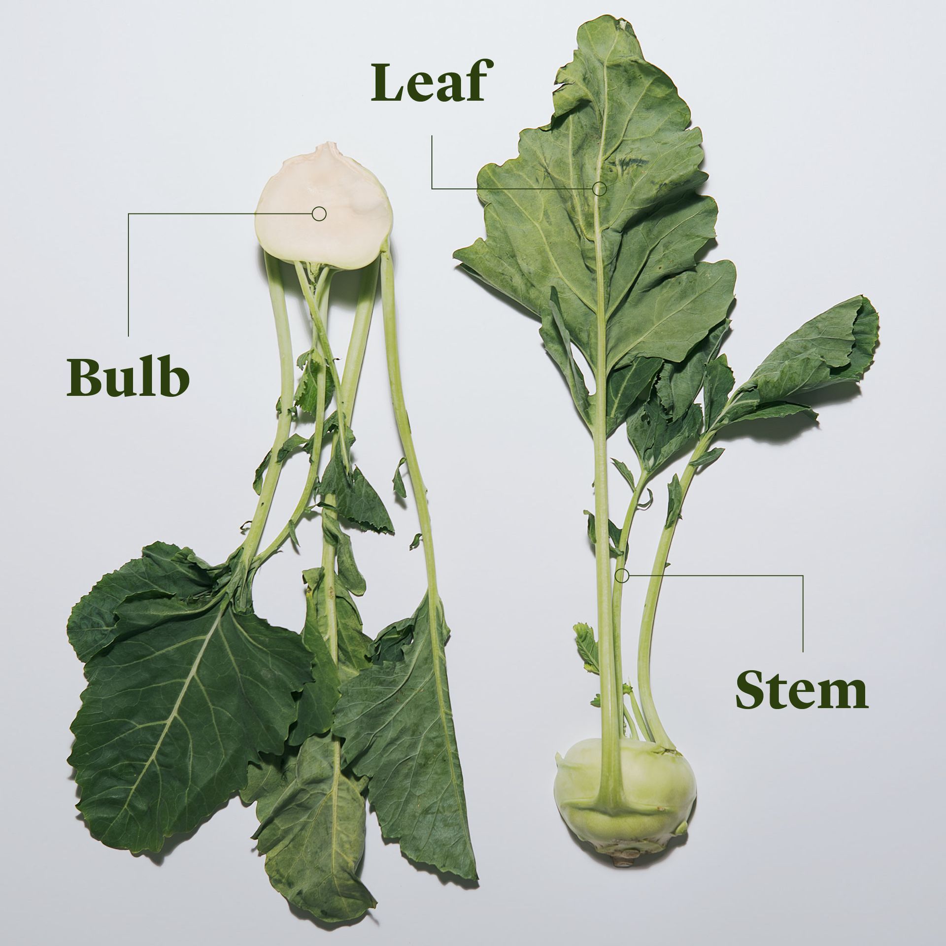 Everything to Know About Cooking and Shopping for In Season Kohlrabi ...