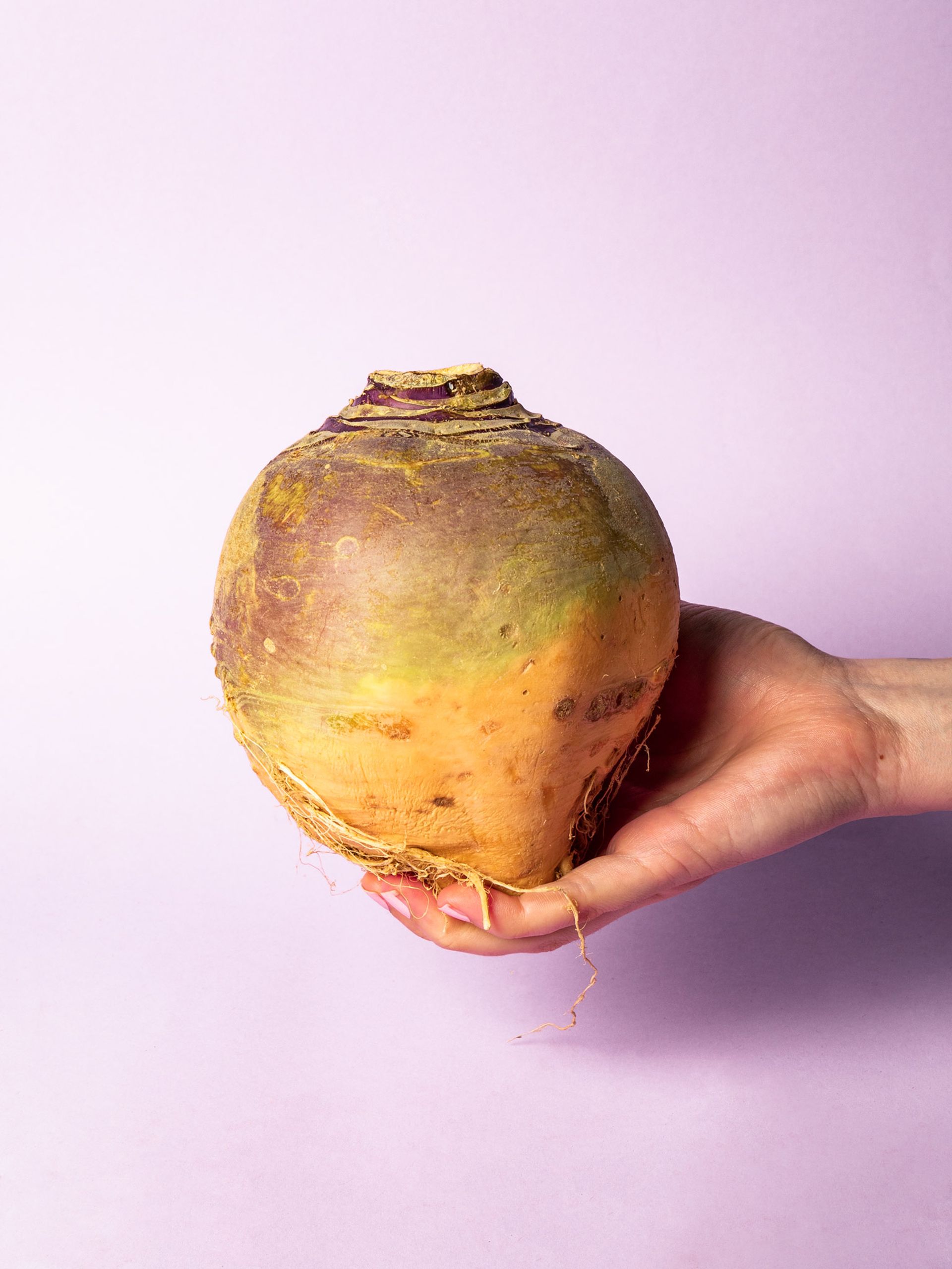 Now in Season: Everything to Know About Shopping, Storing, and ...