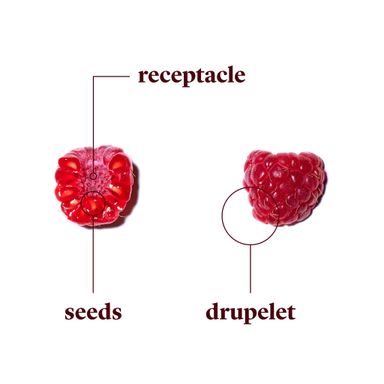 Everything to Know About Shopping, Storing, and Preparing In Season ...