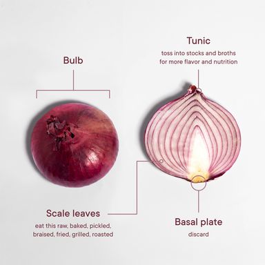 Everything You Need to Know About Preparing and Storing In Season ...