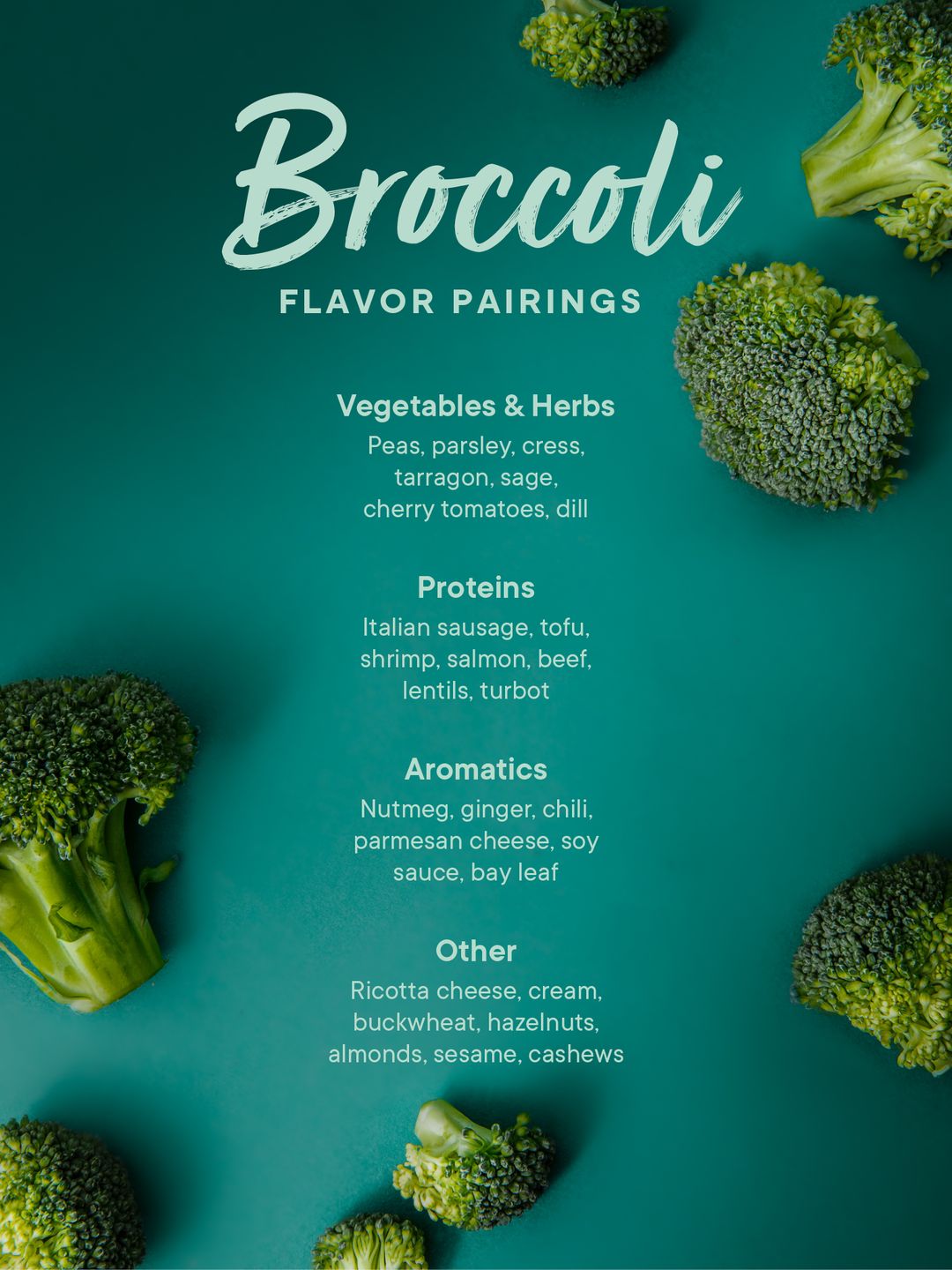 Everything You Need to Know About Preparing and Storing Broccoli ...