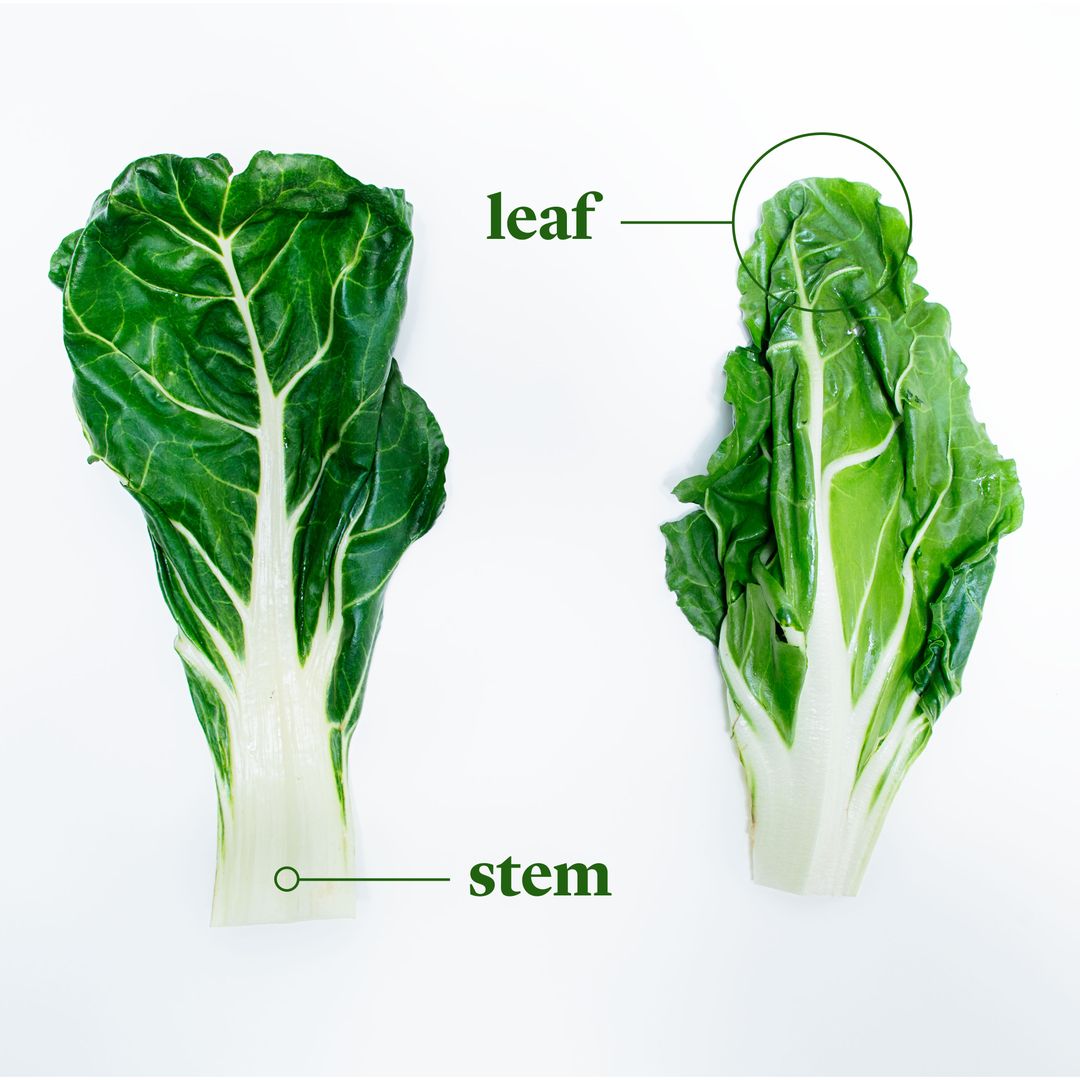 Everything to Know About Cooking and Shopping for In Season Swiss Chard ...