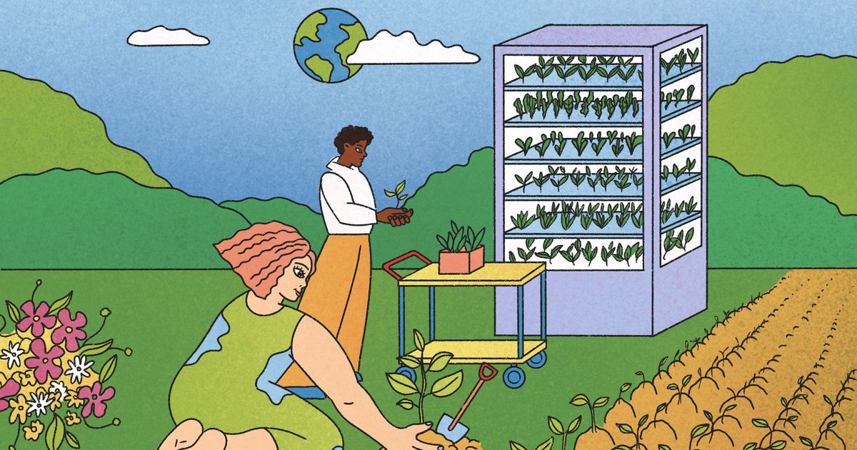 From Local to Global, Introducing Our Community Issue | Stories ...