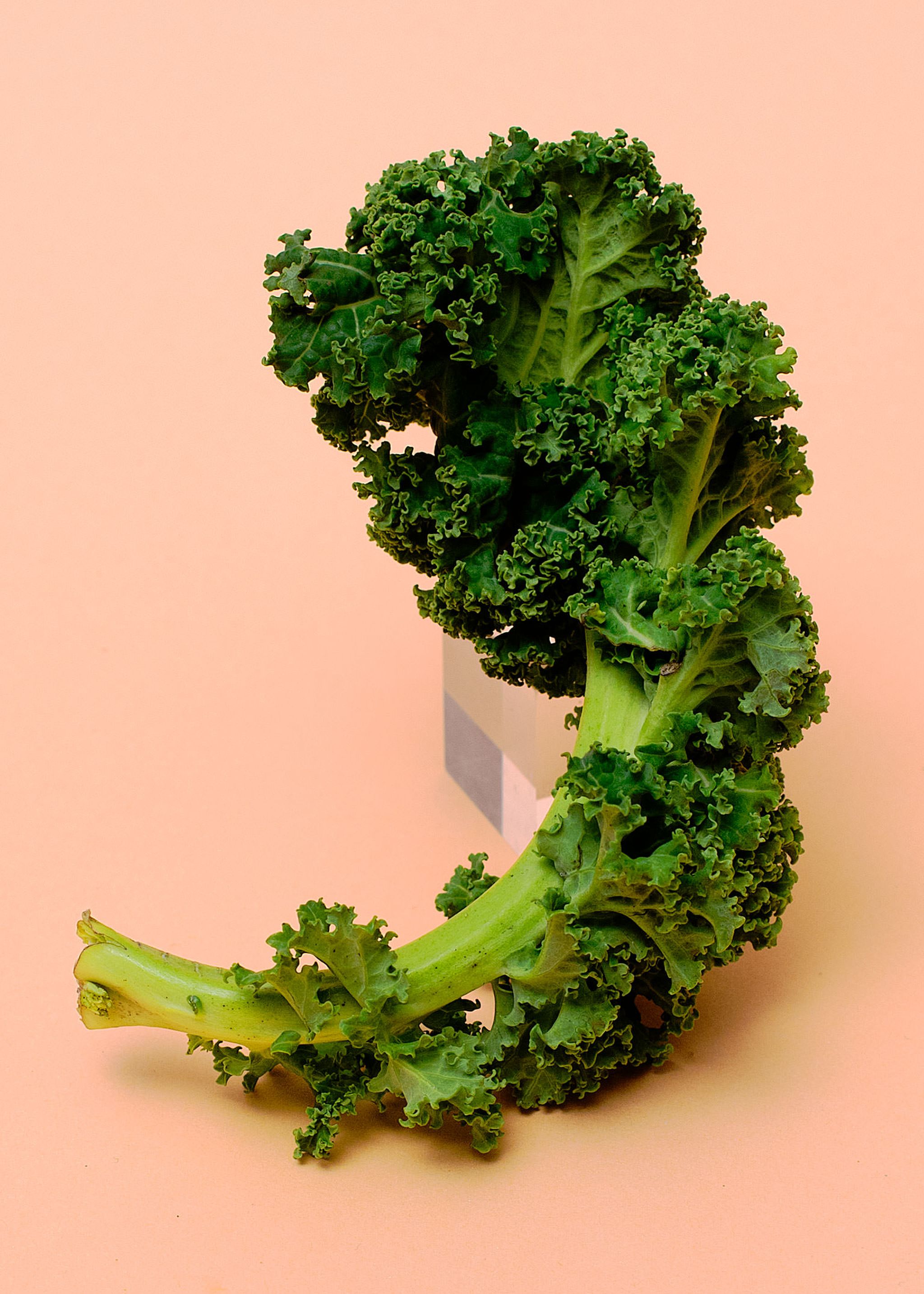 Everything to Know About Cooking and Shopping for In Season Kale ...