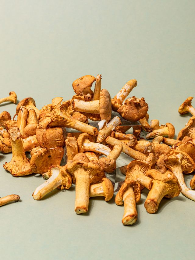 Jetzt in Saison: Pfifferlinge richtig kaufen, lagern und zubereiten ...