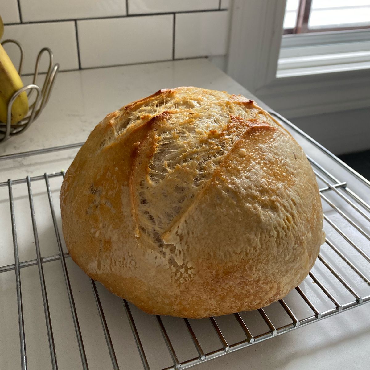 Sour Dough (red fyfe) | Recipe | Kitchen Stories