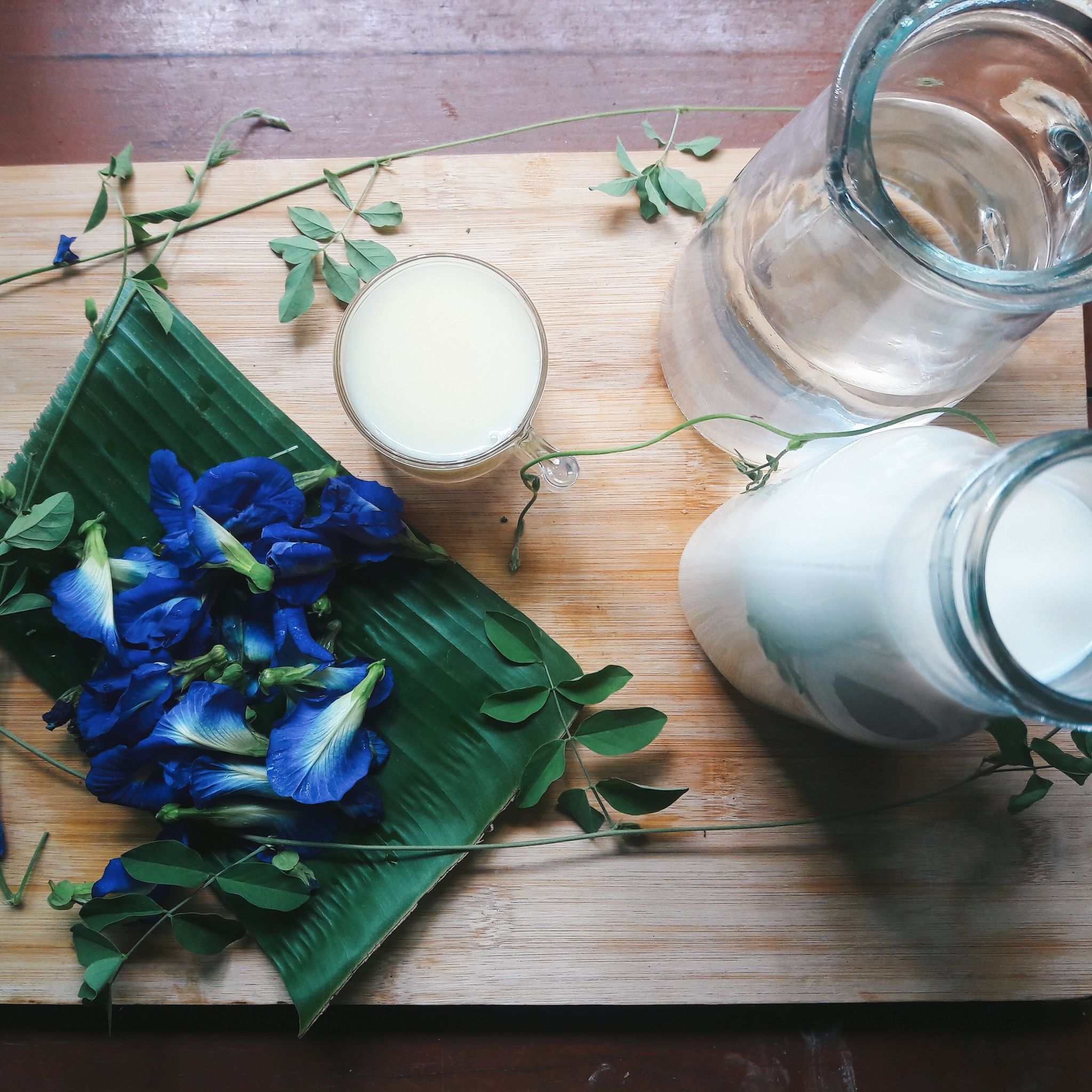 Ice milk Butterfly pea | Recipe | Kitchen Stories