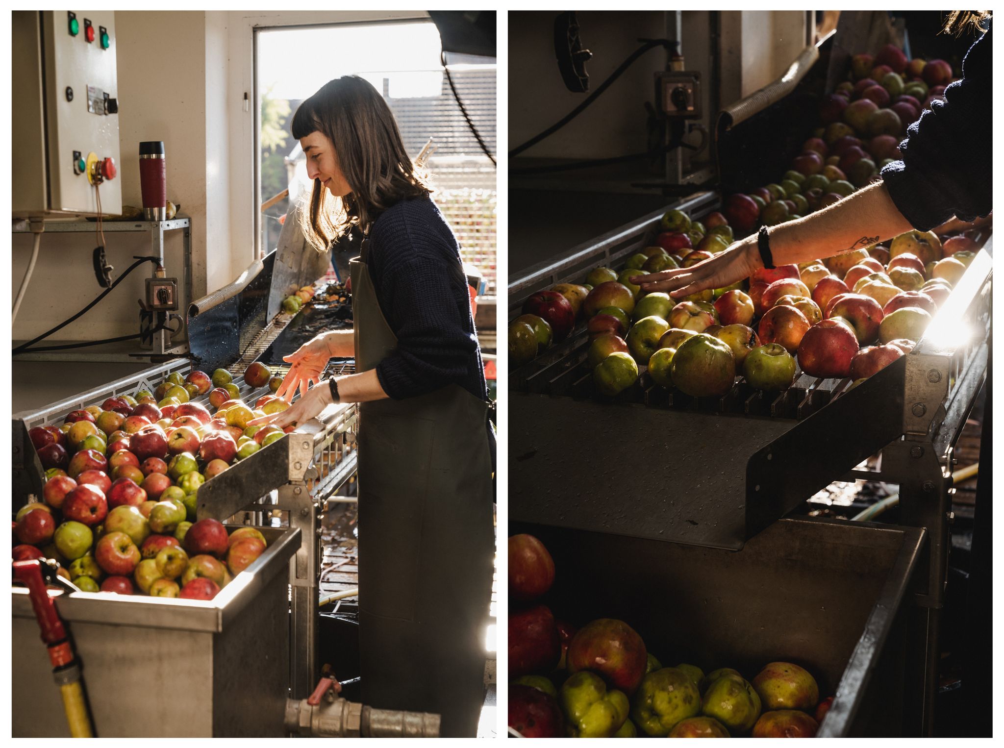 Vom Apfelbaum in die Flasche: So wird Apfelsaft in der Märkischen ...