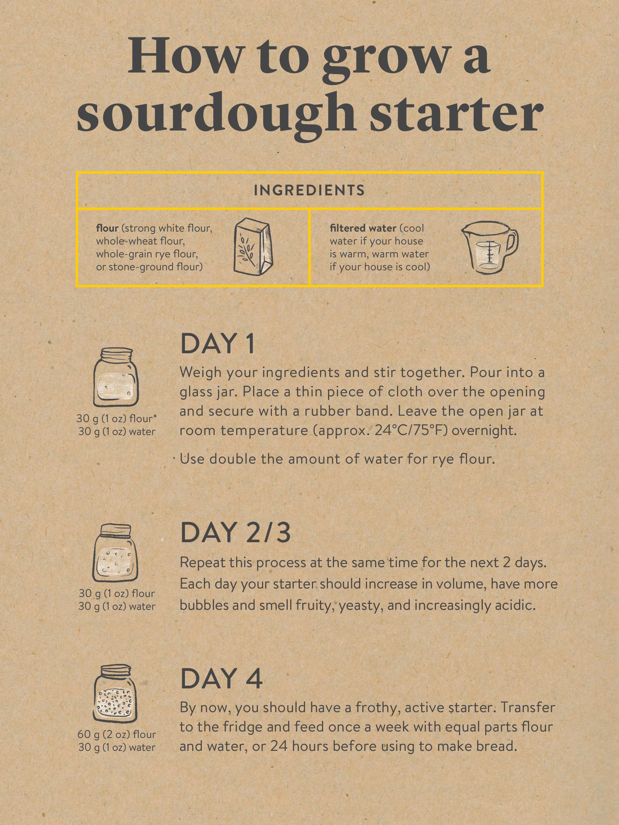 The Simplified Guide to Making Sourdough Starter at Home | Stories ...