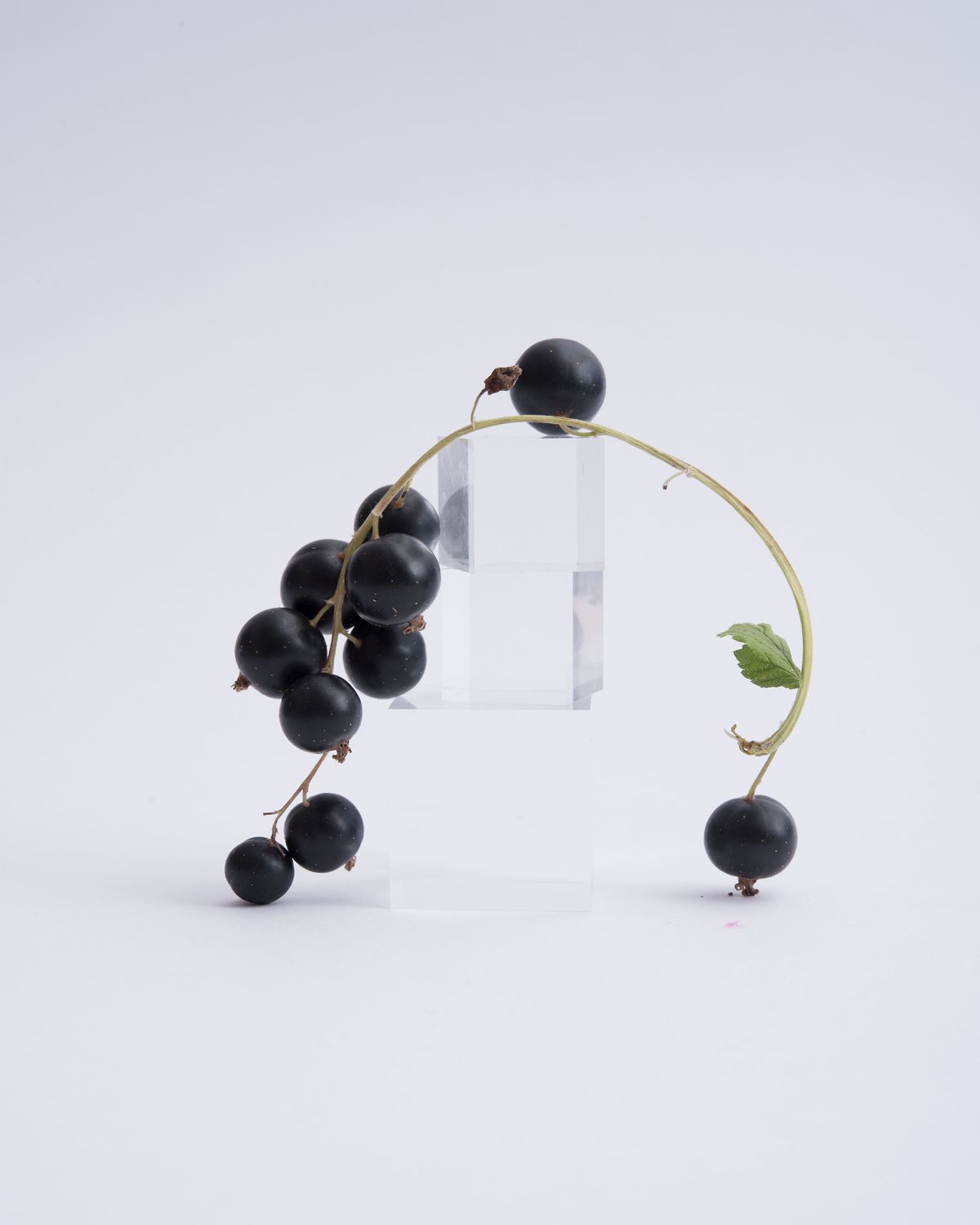 Everything to Know About Cooking and Shopping for In Season Currants ...