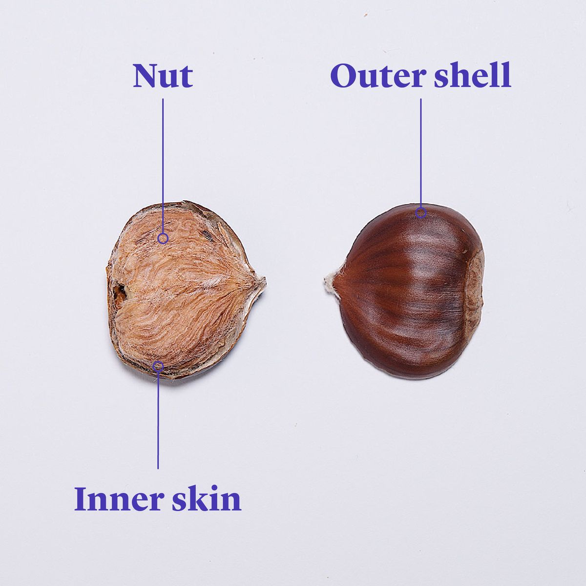 Everything to Know About Cooking and Shopping for In Season Chestnuts ...