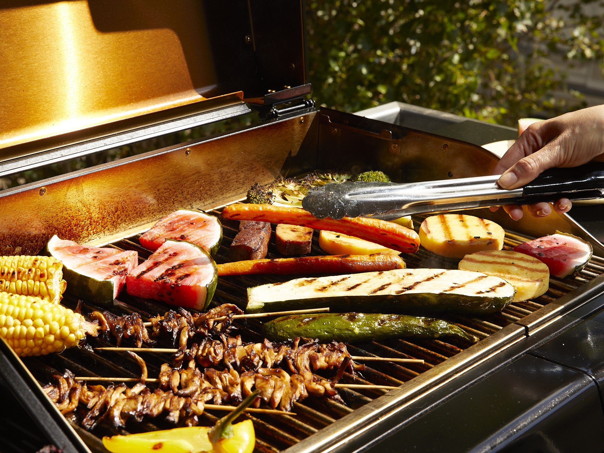 Vegetarian Grilling: Tips and Recipes for the Hottest Veggie BBQ Party ...