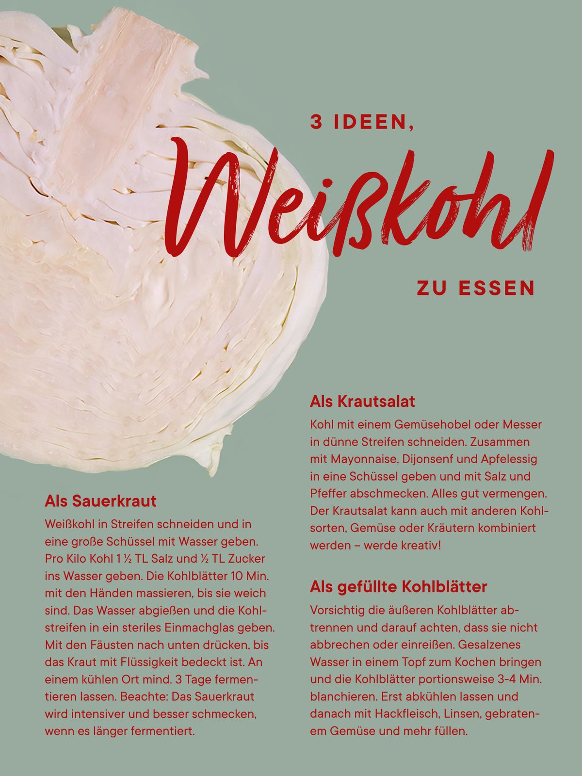 Jetzt in Saison: Weißkohl richtig kaufen, lagern und zubereiten ...