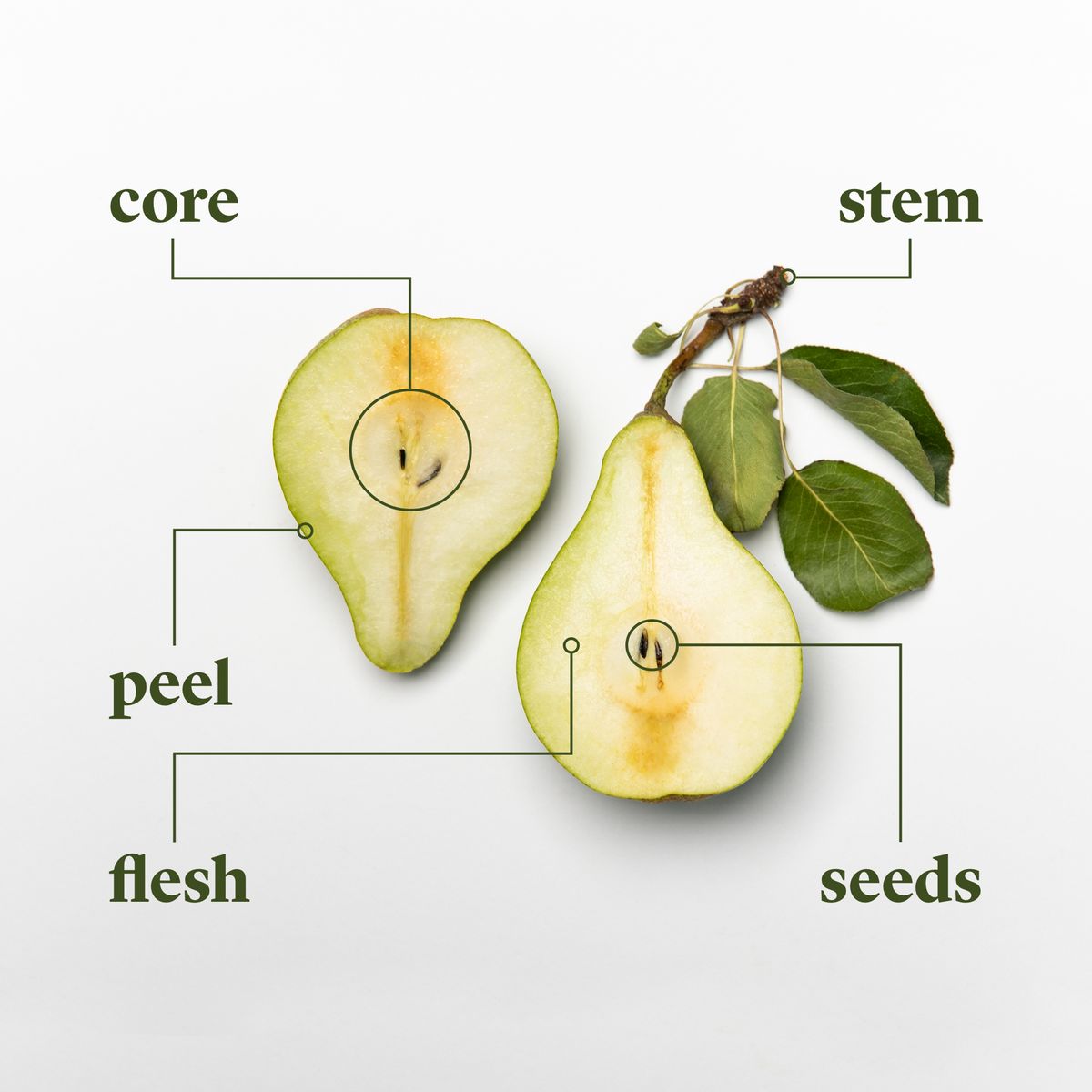 Everything to Know About Cooking and Shopping for In Season Pears ...