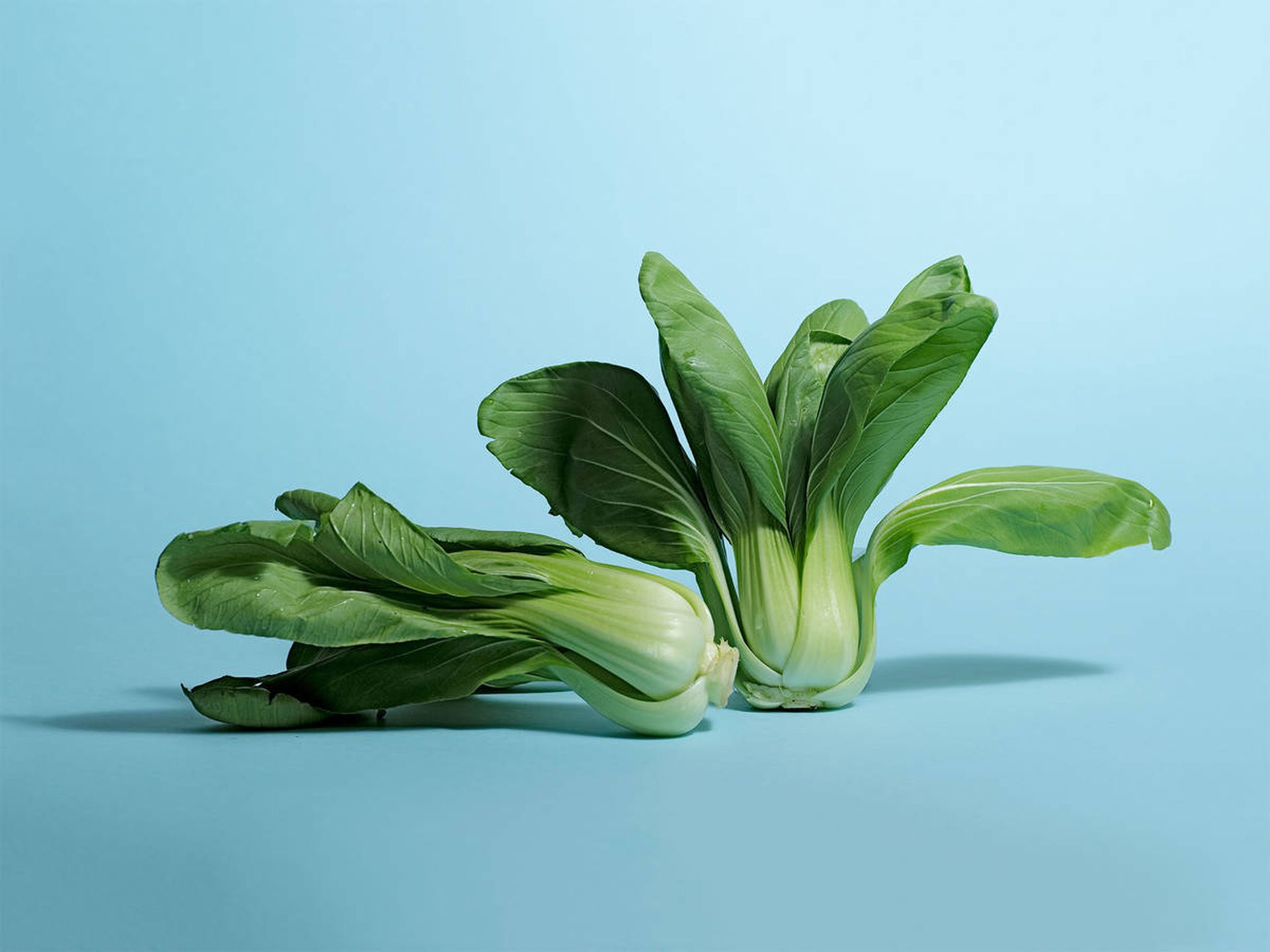 Pak Choi: Zubereitung und Wissenswertes über Chinesischen Senfkohl ...