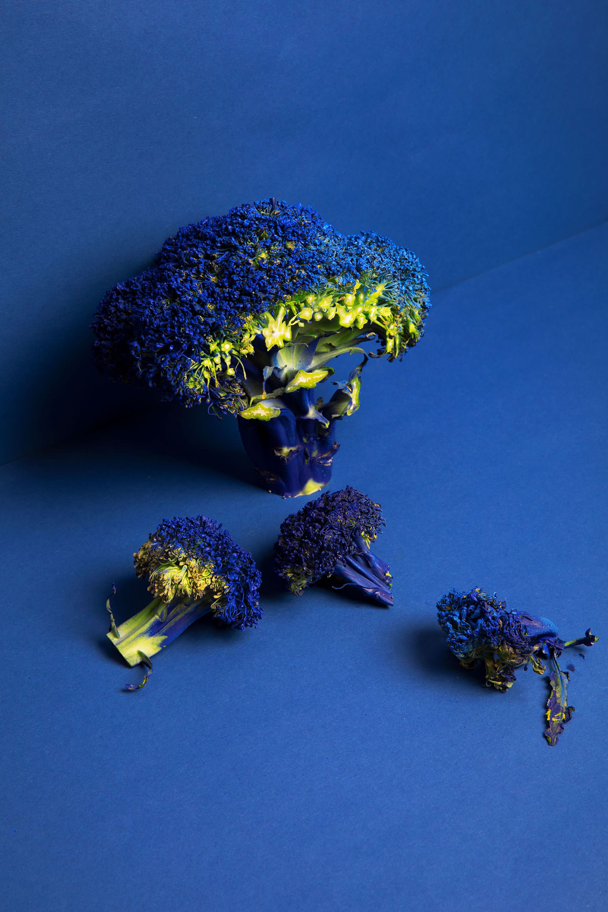 Is Fresh Really Better Than Frozen or Canned? | Stories | Kitchen Stories