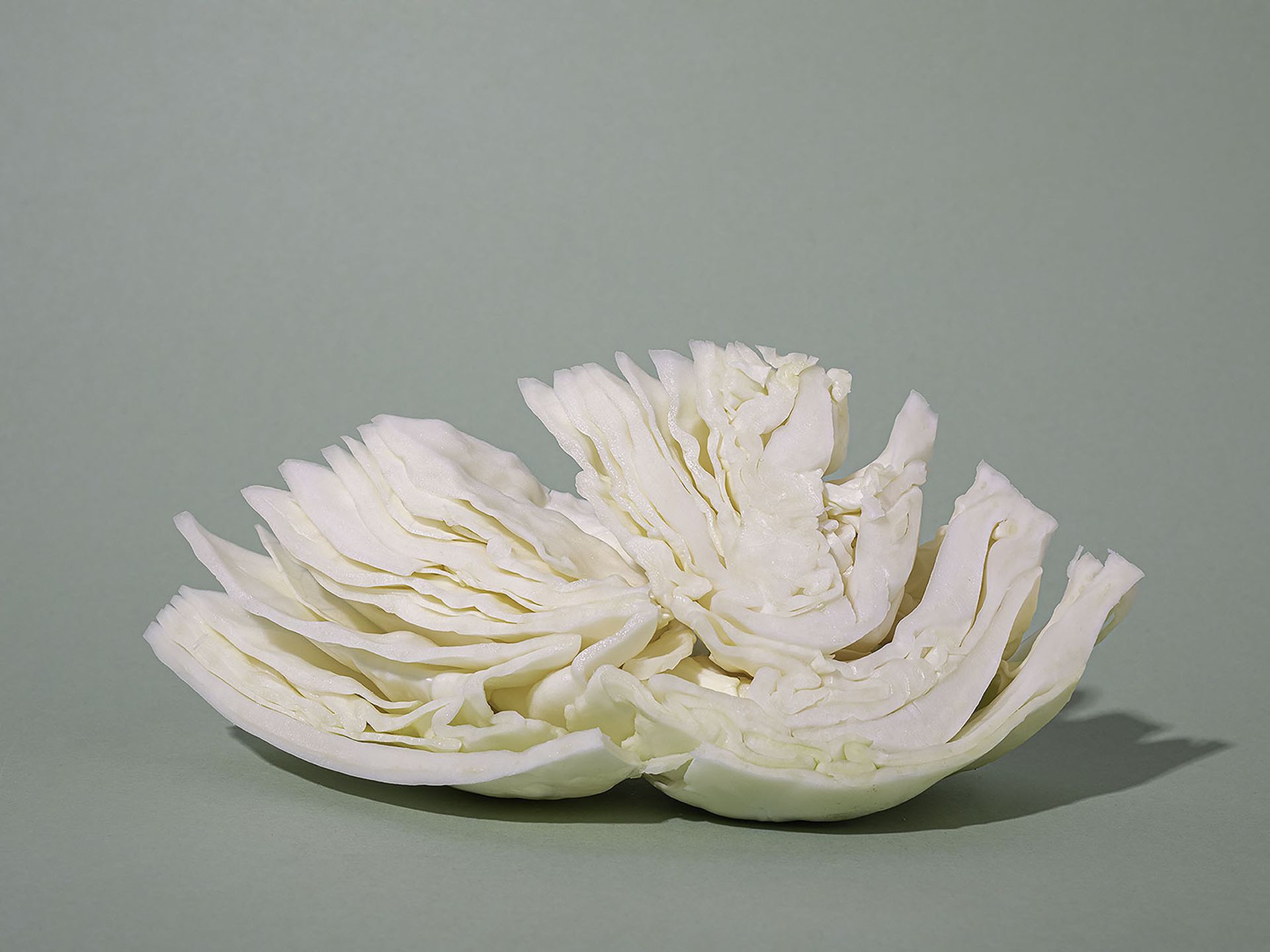 Everything You Need to Know About Preparing and Storing In Season White ...