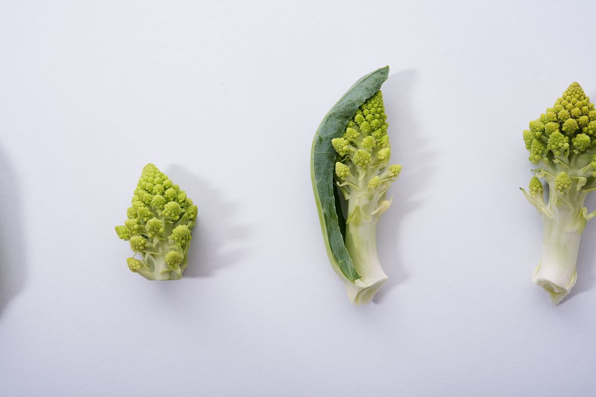 Everything to Know About Cooking and Shopping for In Season Romanesco ...