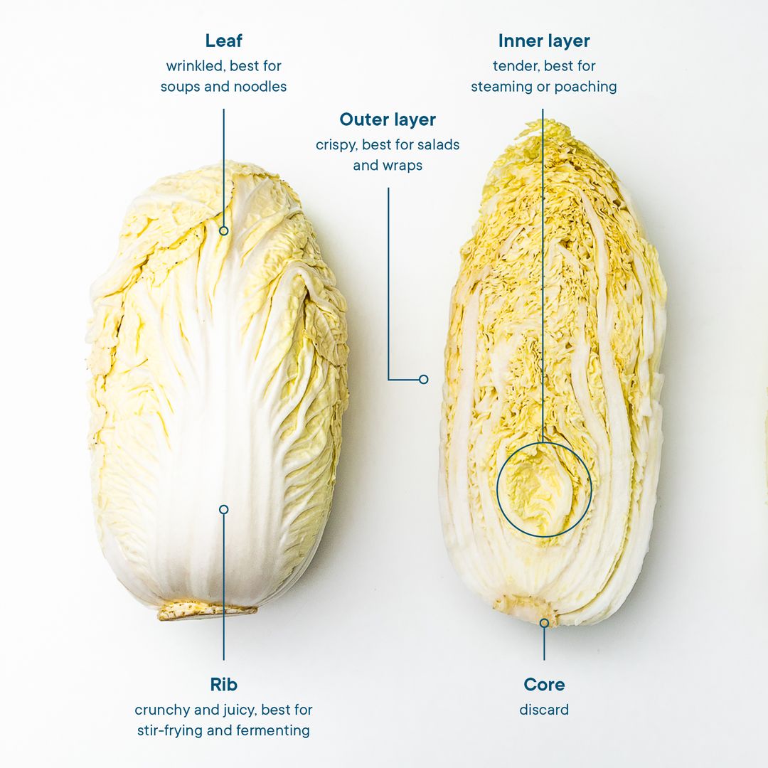 Everything You Need to Know About Preparing and Storing Napa Cabbage ...