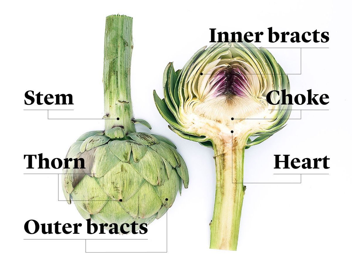 Everything to Know About Cooking and Shopping for In Season Artichokes ...